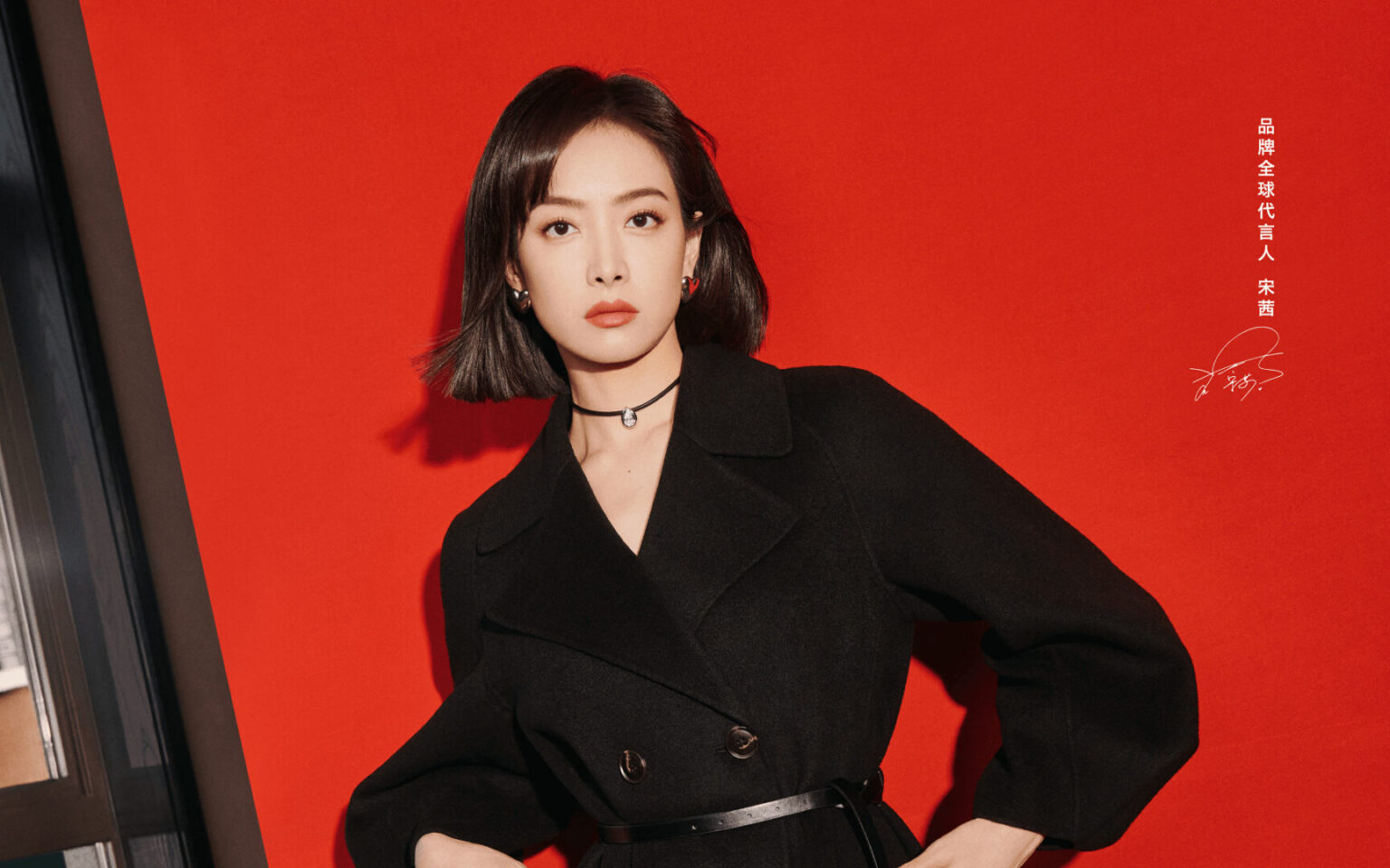 20周年迭代升级：LILY携手品牌全球代言人宋茜 共同演绎不费力美学 – LILY中国官网